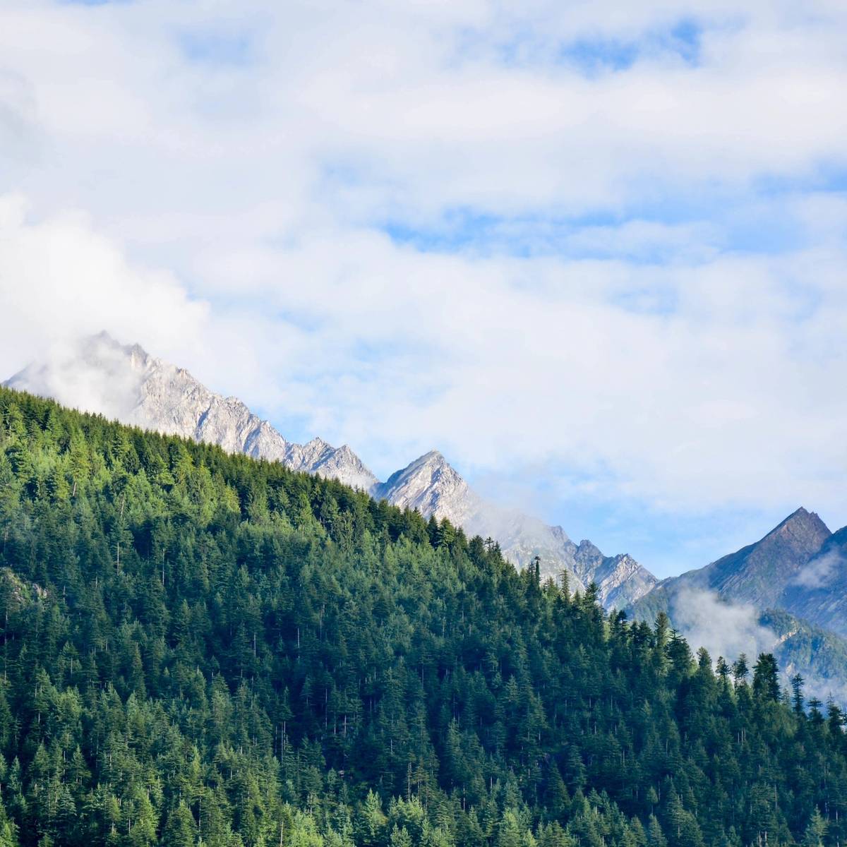 Downloadable Active Living Workout Guide - Tammy's Adventures Portfolio